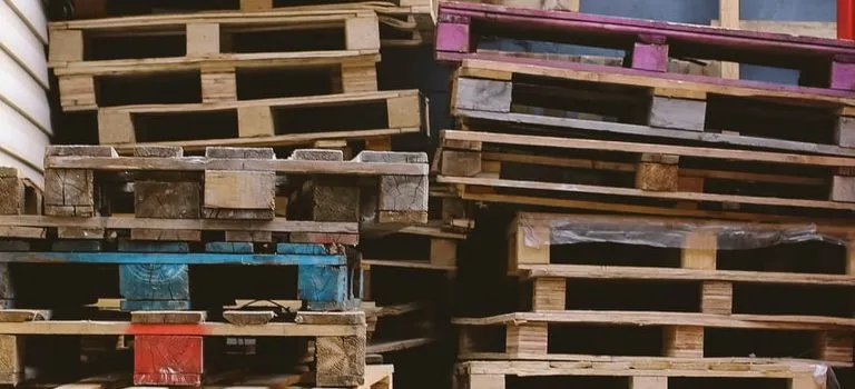 How to pest-proof a storage unit | Professional Movers Ottawa